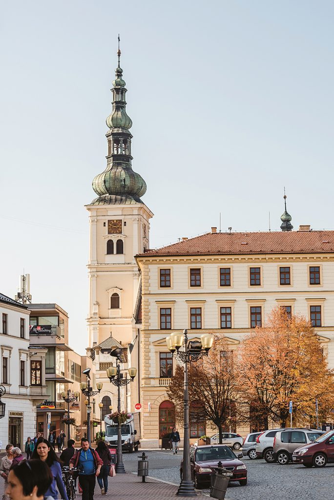 Vyškov – bohatá historie, ale i dinopark, aquapark a ZOO